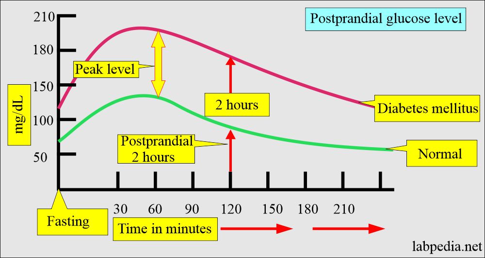 Normal Blood Sugar For Non-Diabetic 2 Hours After Eating: Ranges ...