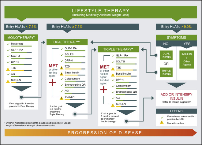 Type 2 Diabetes Treatment Guidelines 2025: ADA & WHO Recommendations ...